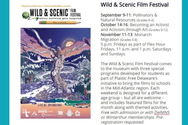DelawareScene.com: Festivals & Special Events